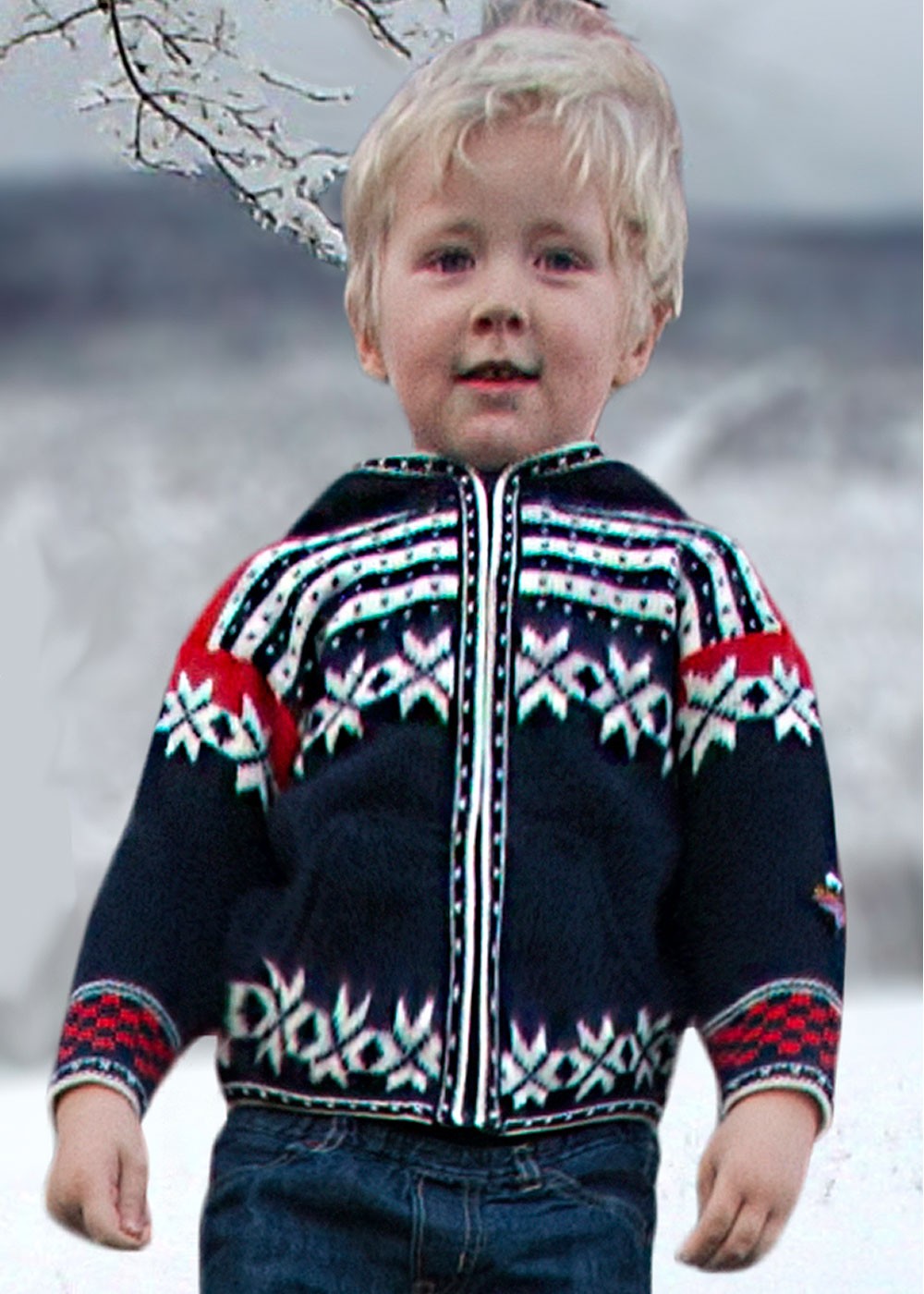 Snowflake Zip Hoodie | Wool | Norwegian Sweaters I Norlender